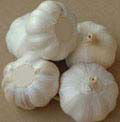 cross garlic - King Toad (China Trading Company) - Fresh Vegetables ...