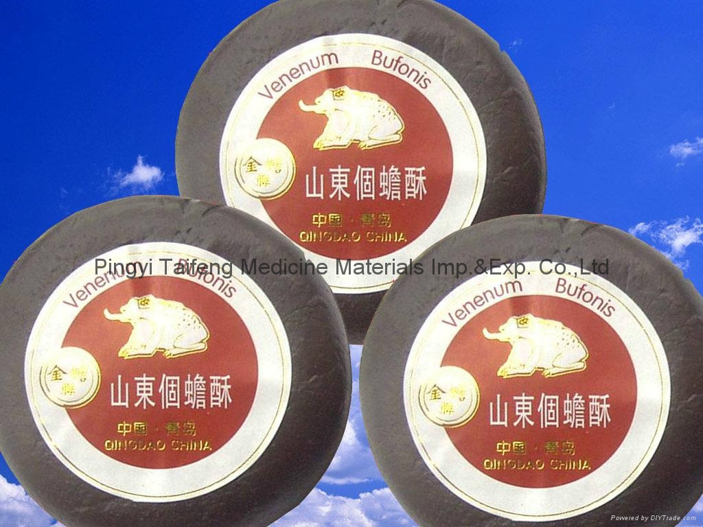 toad venom - King Toad - King Toad (China Trading Company) - Animal ...