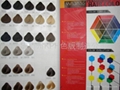 hair colour display book - hair swatch (China Manufacturer) - Personal ...