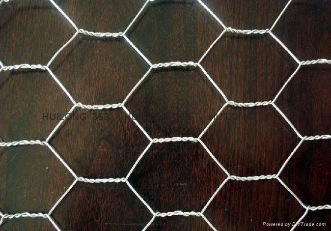hexagonal wire mesh - FR-44 - 369 (China Manufacturer) - Other Security ...